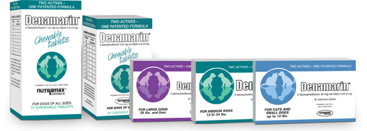 Why Denamarin For Liver Support? - Allivet Pet Care Blog