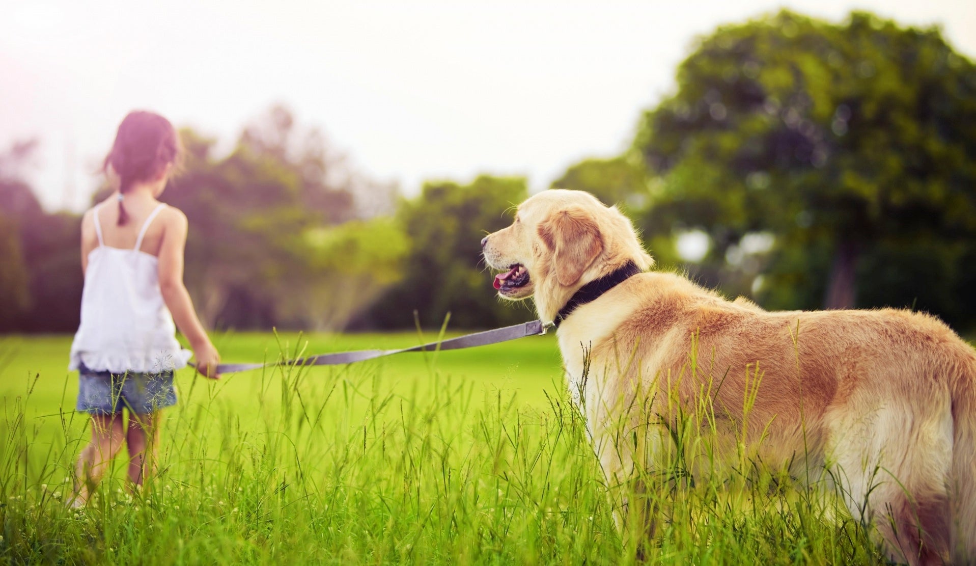 It’s “National Admit You’re Happy” Month: My Pet Makes Me HAPPY ...