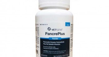 Dog Heartworm Infographic - Allivet Pet Care Blog