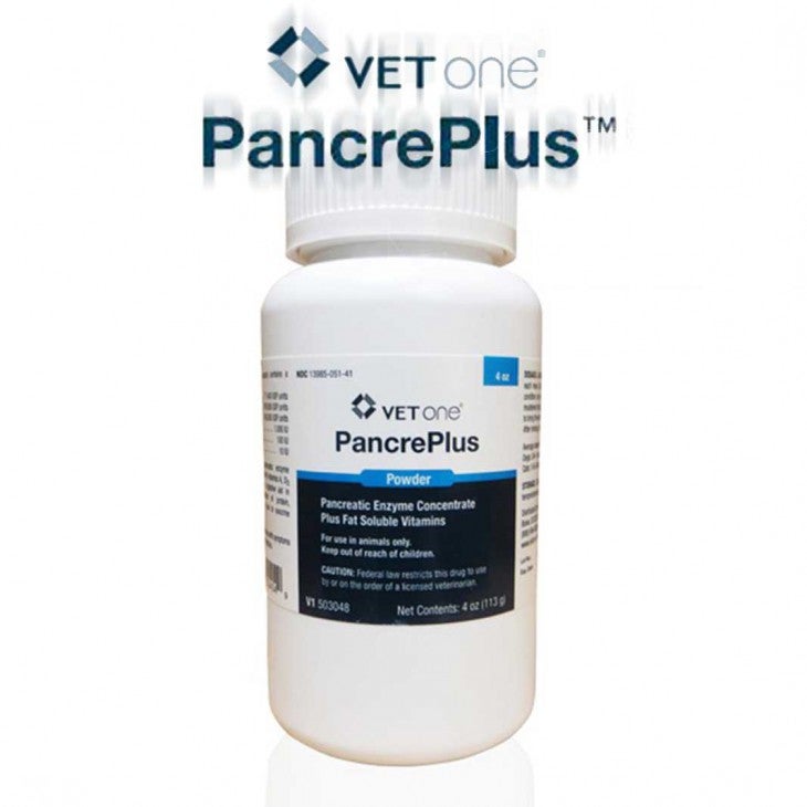 Product Spotlight: PancrePlus Powder and Tabs - Allivet Pet Care Blog