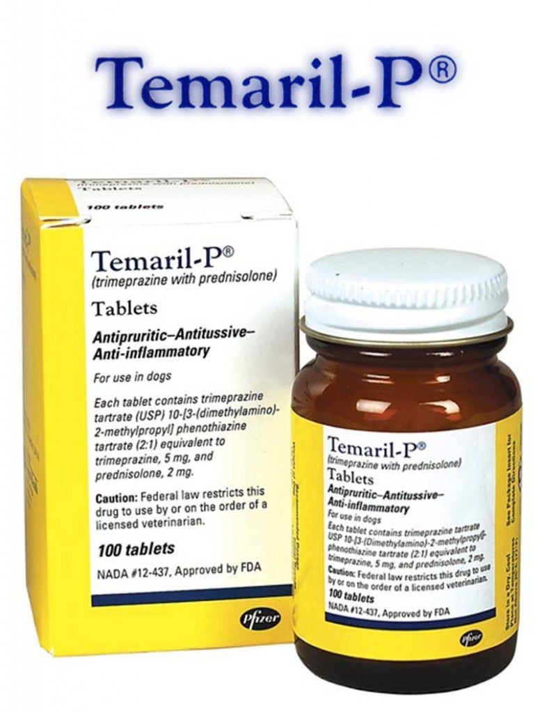 Product Spotlight: Temaril-P | Allivet Pet Care Blog