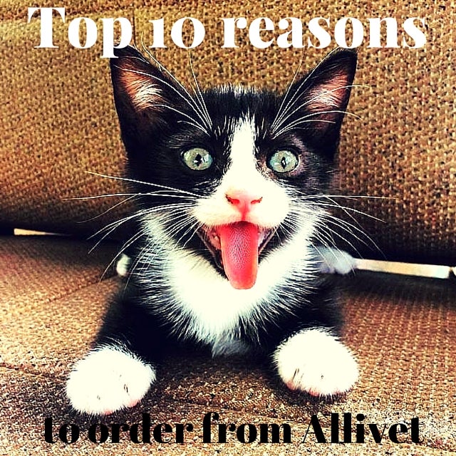 Top 10 Reasons To Order From Allivet - Allivet Pet Care Blog