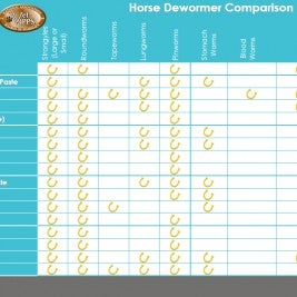 Home - Allivet Pet Care Blog