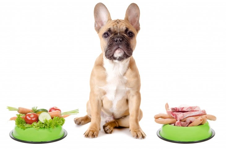 Is it Okay to Feed My Dog Table Scraps? - Allivet Pet Care Blog