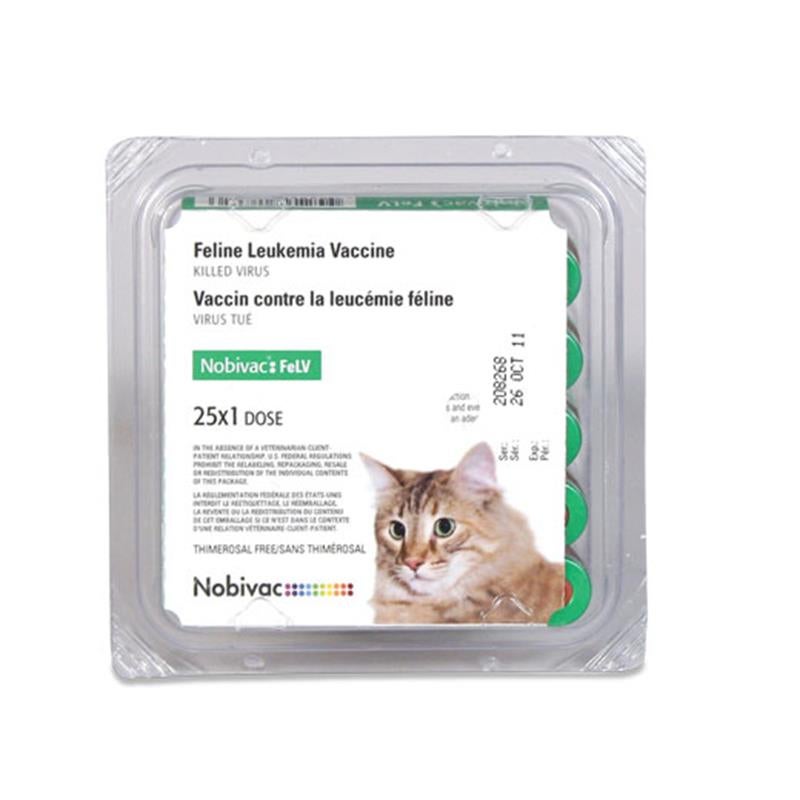 Feline Leukemia Virus What You Must Know Allivet Pet Care Blog Feline Leukemia Virus What You Must Know Allivet Pet Care Blog