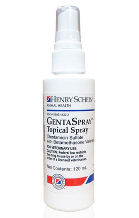 Top 10 Skin Allergy Medications for Dogs - Allivet Pet Care Blog