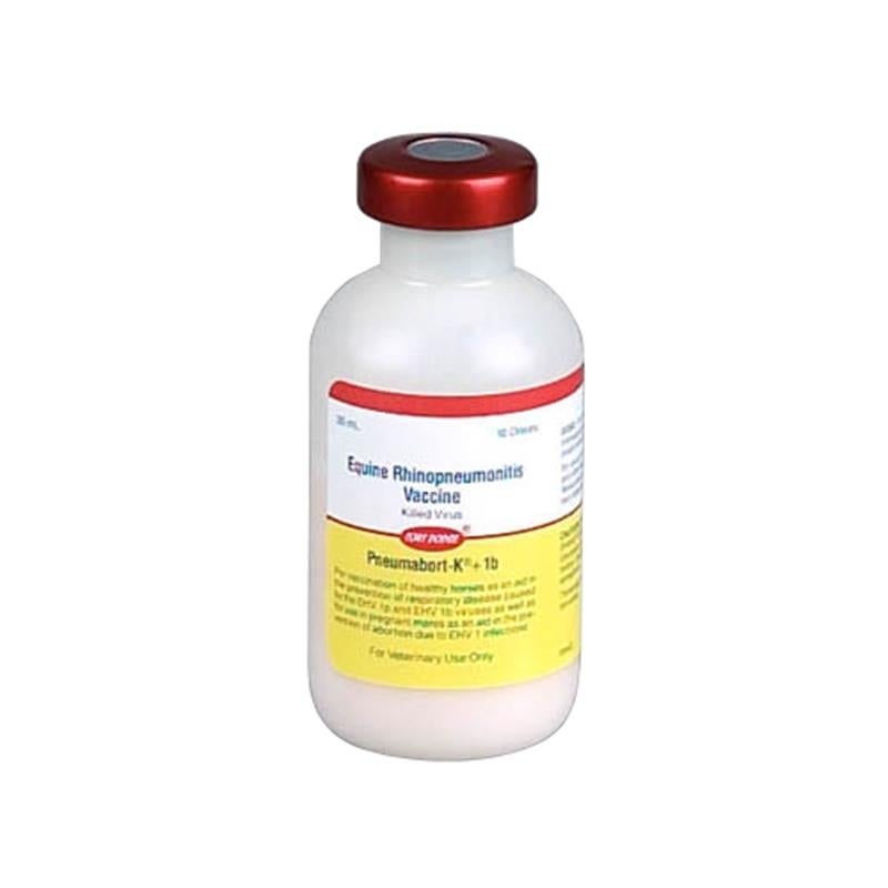 Equine Herpes Virus 1 and 4 – What You Must Know - Allivet Pet Care Blog