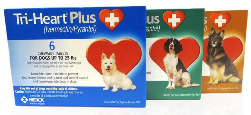 Top 10 Dewormers for Dogs - Allivet Pet Care Blog