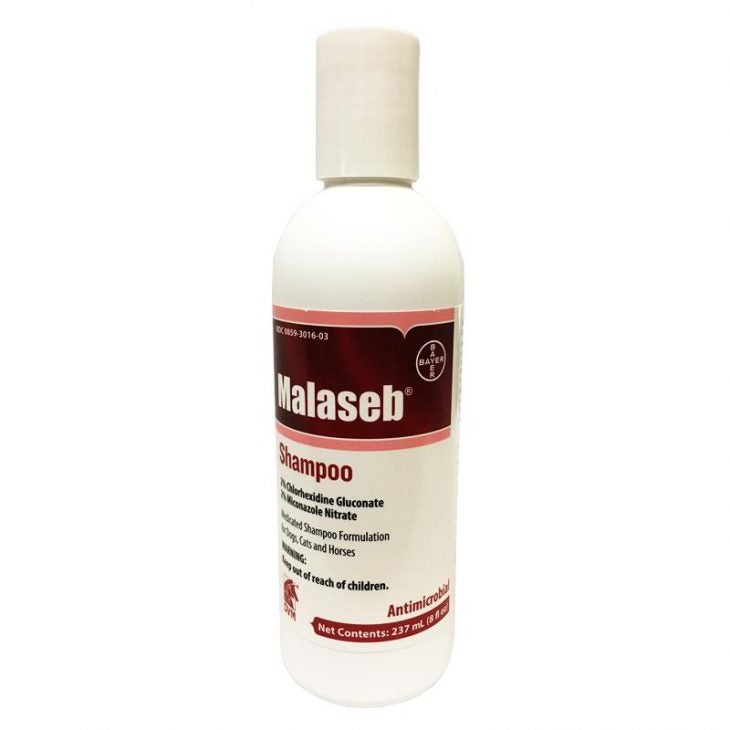 Top 10 Pet Grooming Essentials - Allivet Pet Care Blog