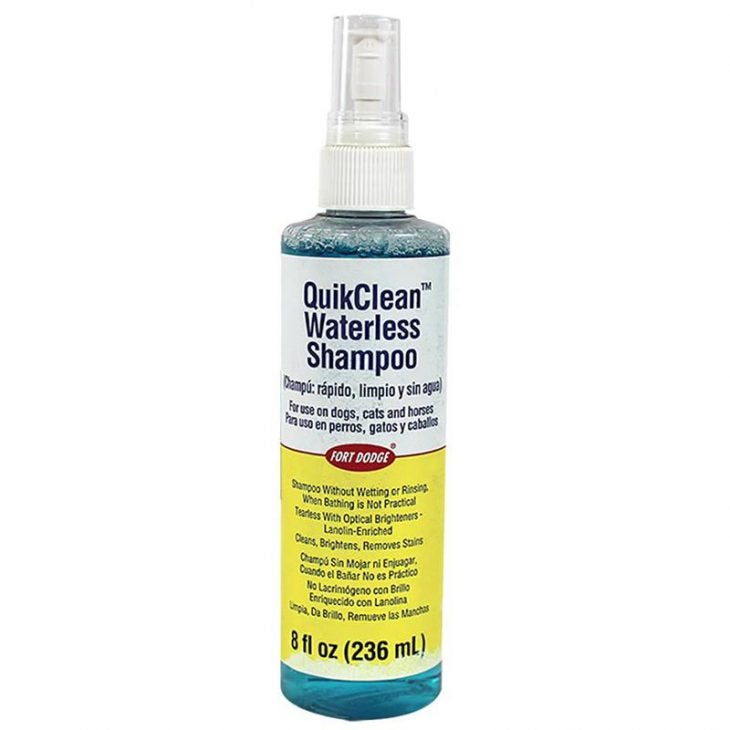 Top 10 Pet Grooming Essentials - Allivet Pet Care Blog