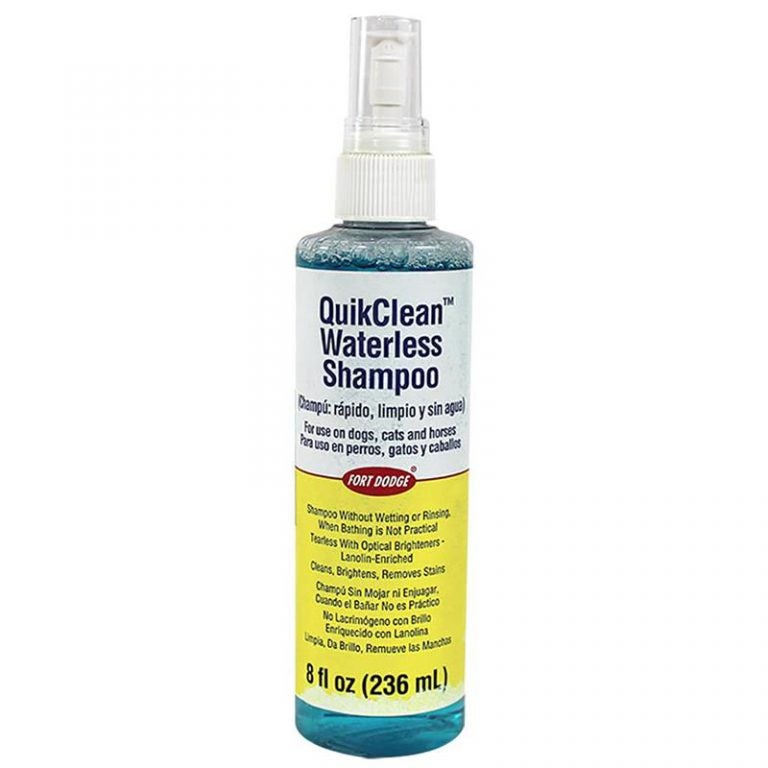 Top 10 Pet Grooming Essentials - Allivet Pet Care Blog