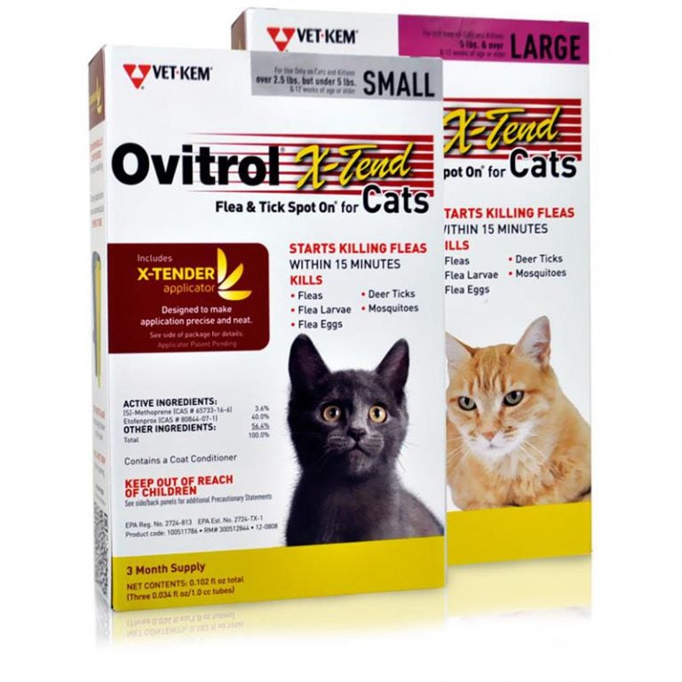 Top Ten Prescription-Free Flea & Tick Treatments for Cats - Allivet Pet ...