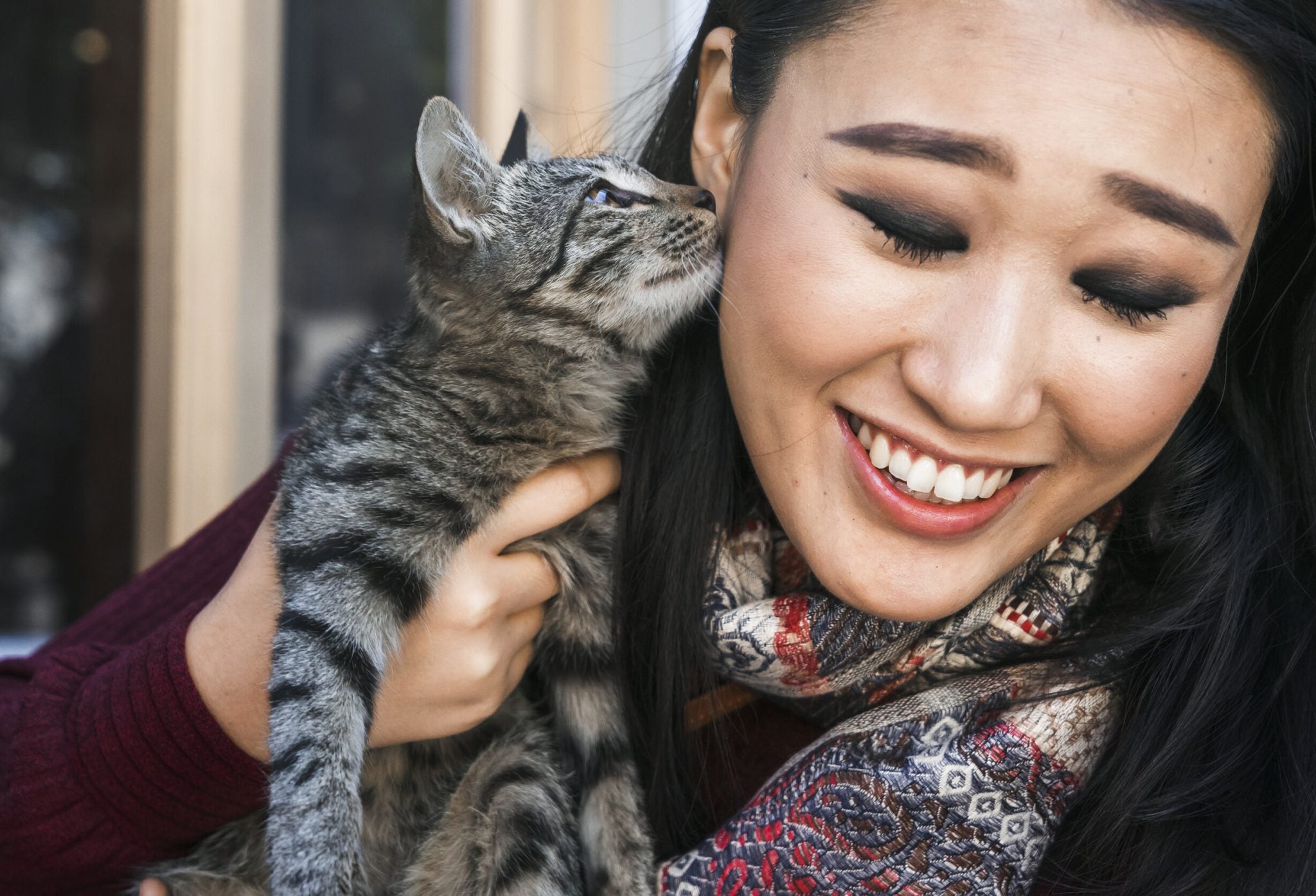 Tips for First Time Cat Owners - Allivet Pet Care Blog