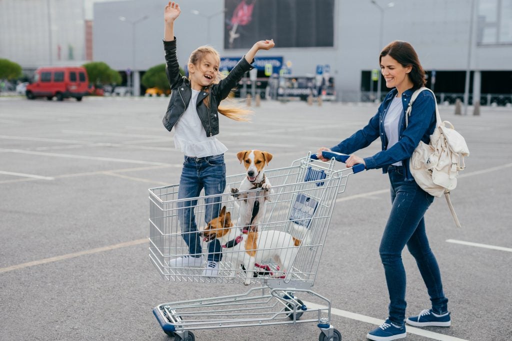 Stores That Allow Dogs Some May Surprise You Allivet Pet Care Blog Stores That Allow Dogs Some May Surprise You Allivet Pet Care Blog