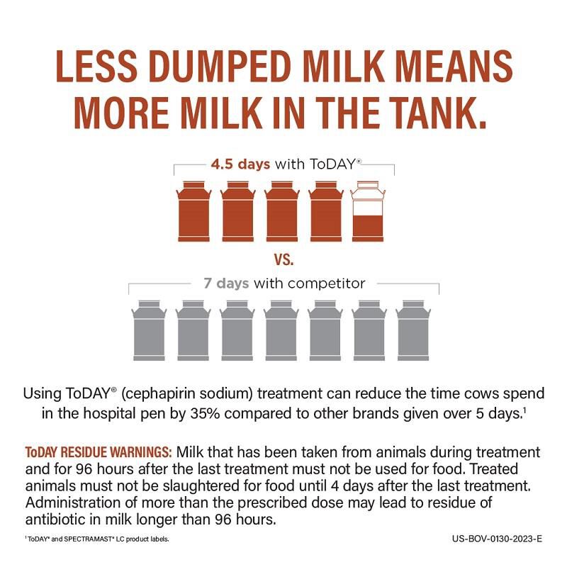 ToDAY Mastitis Treatment for Lactating Cows, Box of 12 x 10 ML Treatments