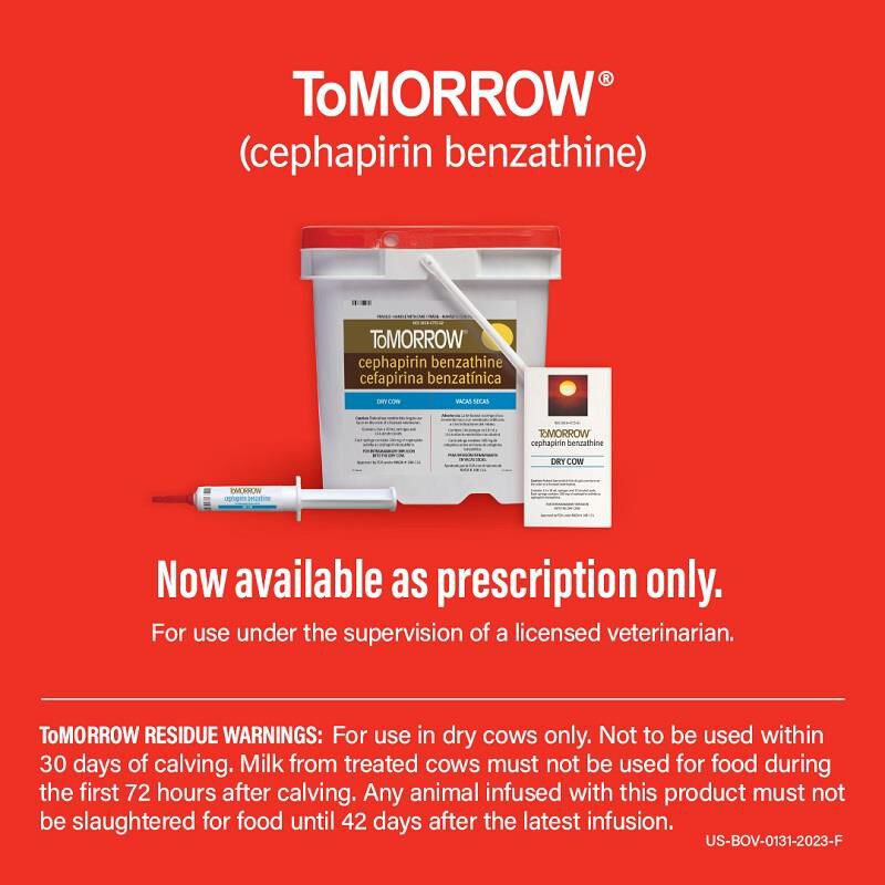 mastitis medication cattle