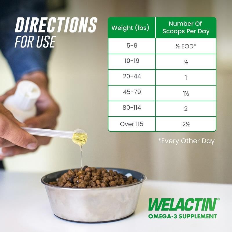 Nutramax Welactin for Dogs | Canine Omega 3 Supplement | Allivet