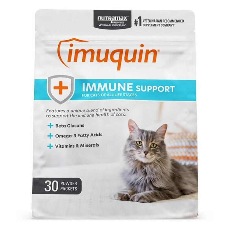 Imuquin Immune Health Supplement for Cats | Allivet