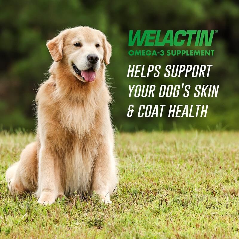 Welactin Canine Softgel Capsules | Get Welactin 120 Count for Dogs