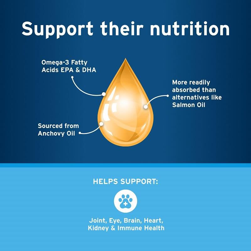 Pet Protect Omega-3 Free Form Liquid for Small Dogs and Cats, 4 oz