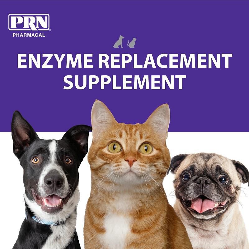 Prozyme digestive enzymes | Buy Prozyme for cats and dogs