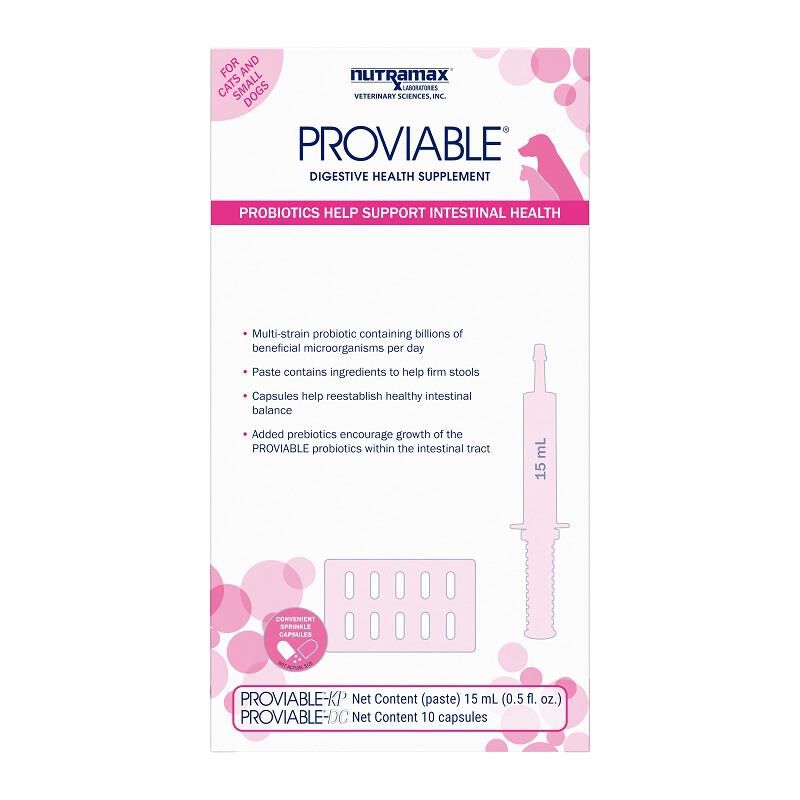 Proviable-KP Paste For Dogs & Cats - Probiotics | Allivet