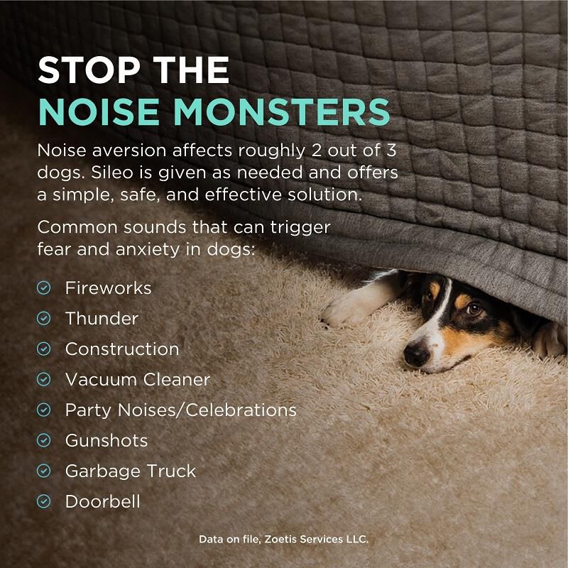 Sileo Gel - Anxiety Medication for Dogs | Allivet