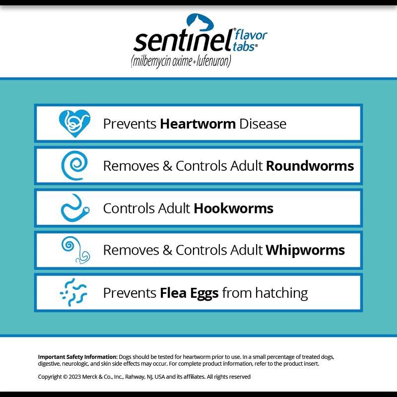 Sentinel Heartworm Flavor Tablets for Dogs - Oral Tabs | Allivet