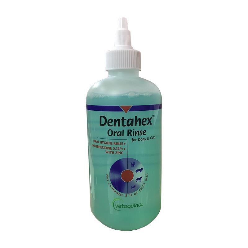 Vetoquinol Dentahex Oral Rinse .012 8 Oz for Dogs & Cats | Allivet