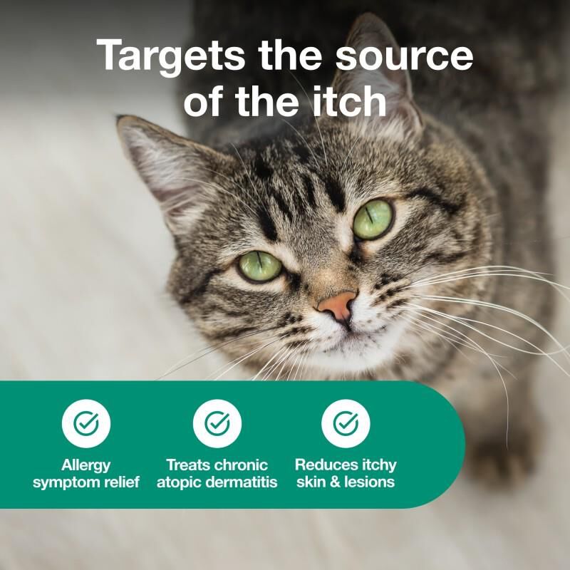Atopica for Cats - Control Chronic Atopic Dermatitis