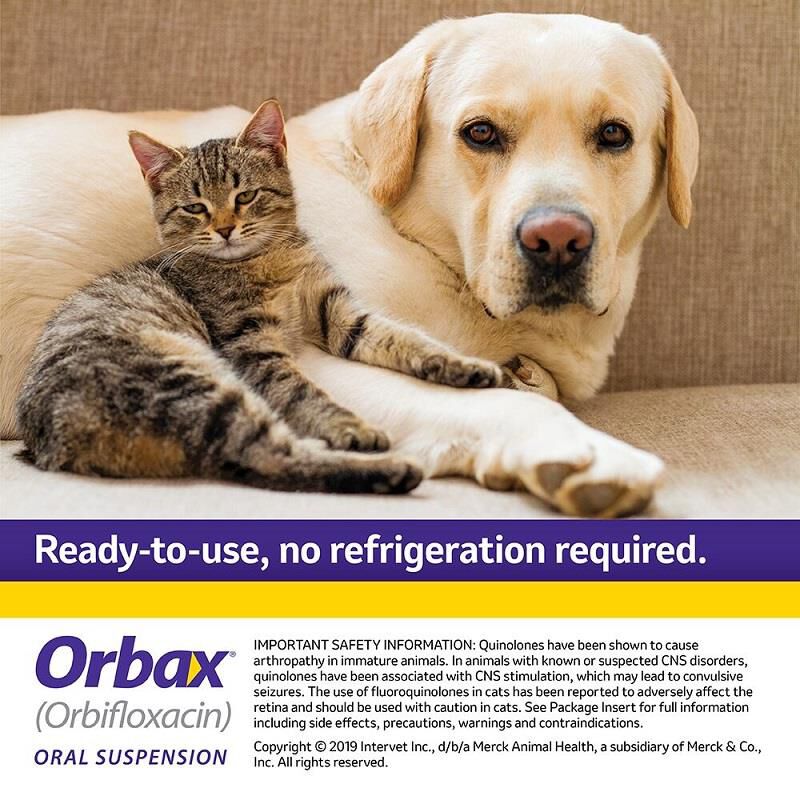 Orbax Oral Suspension 20 Ml For Dogs & Cats | Allivet