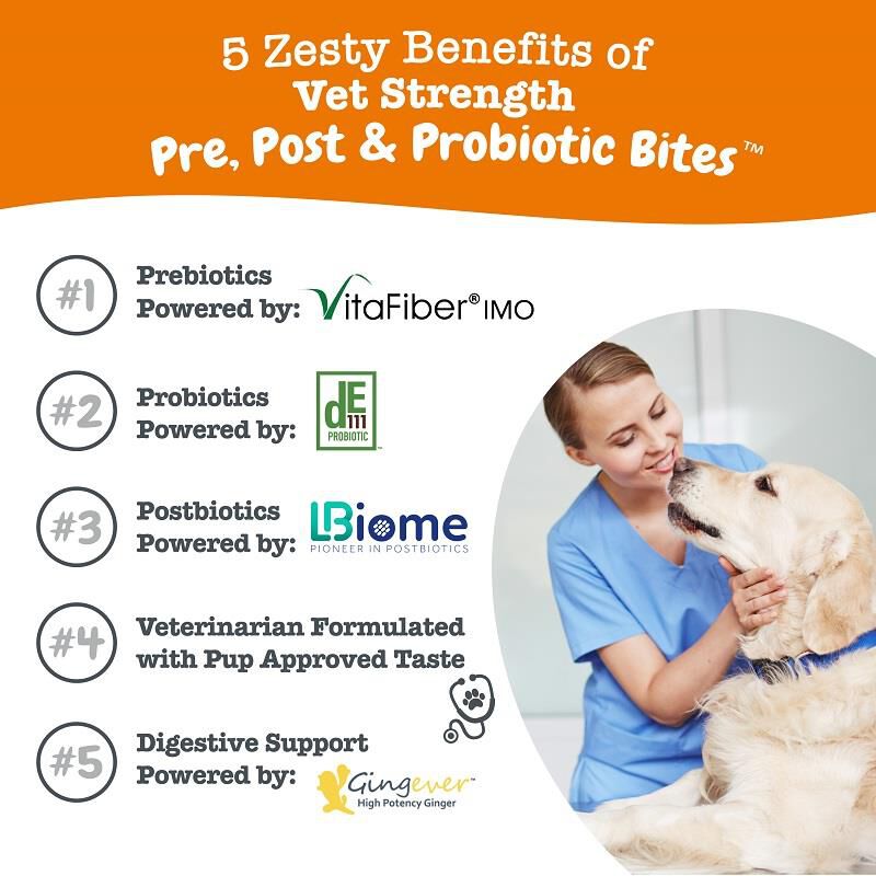 Zesty Paws Vet Strength Pre, Pro & Postbiotic Bites Gut Health ...
