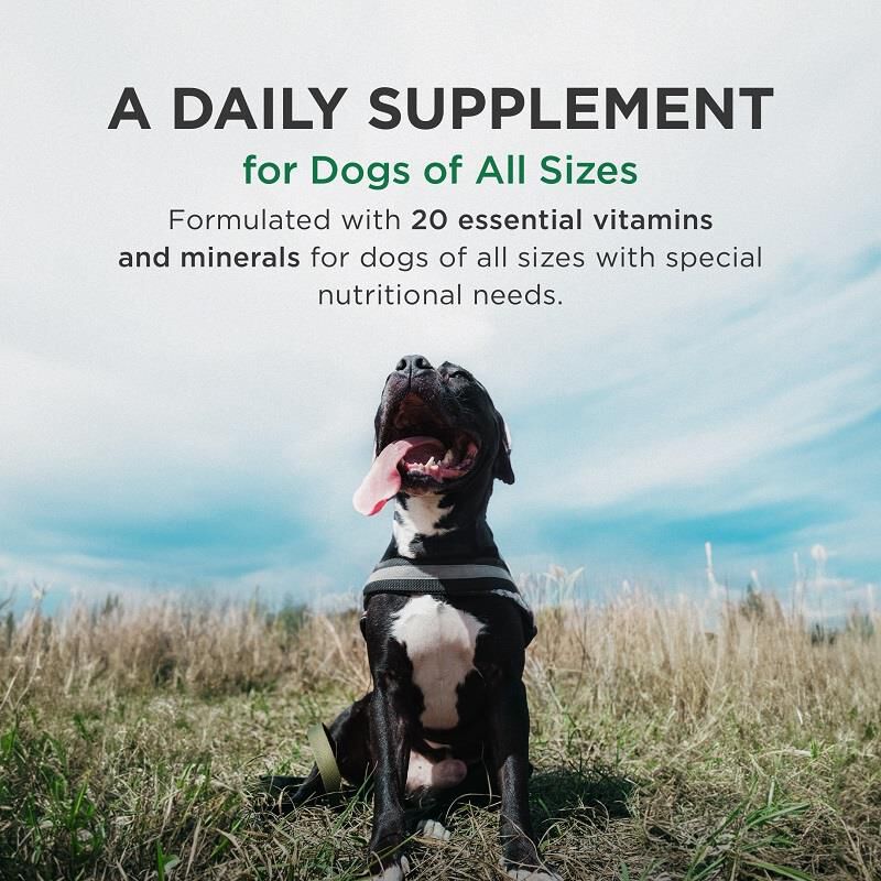 Pet-Tabs Plus for dogs | Order Pet-Tabs Vitamin supplement