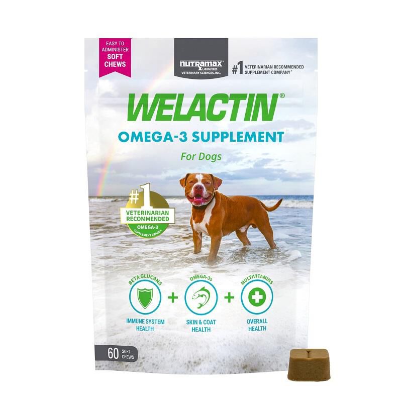 Welactin for Dogs and Cats | Welactin Canine Softgel Capsules
