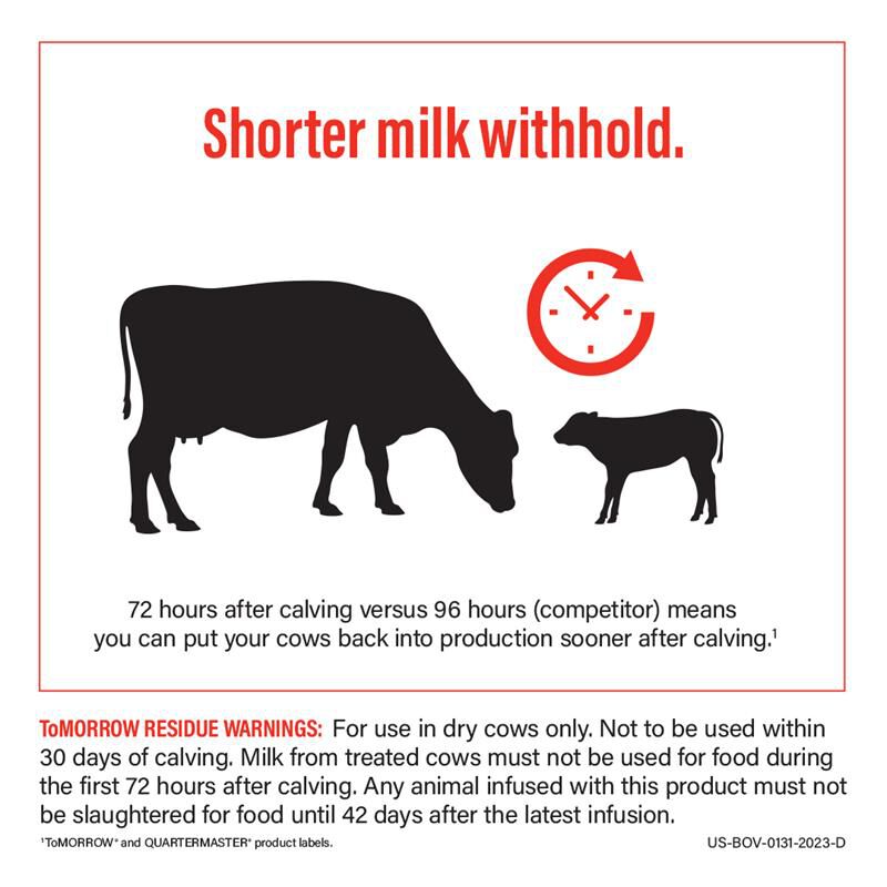 ToMORROW Mastitis Treatment for Dry Cows, Box of 12 x 10 ML Syringe ...
