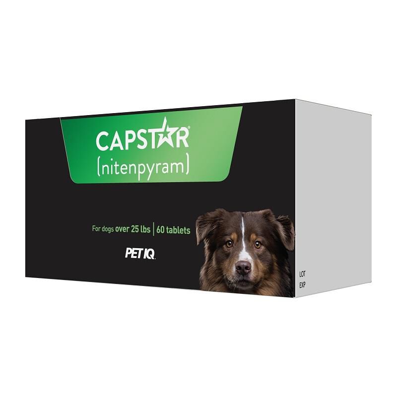 Buy Elanco Capstar Flea Tablets | Capstar for dogs and cats