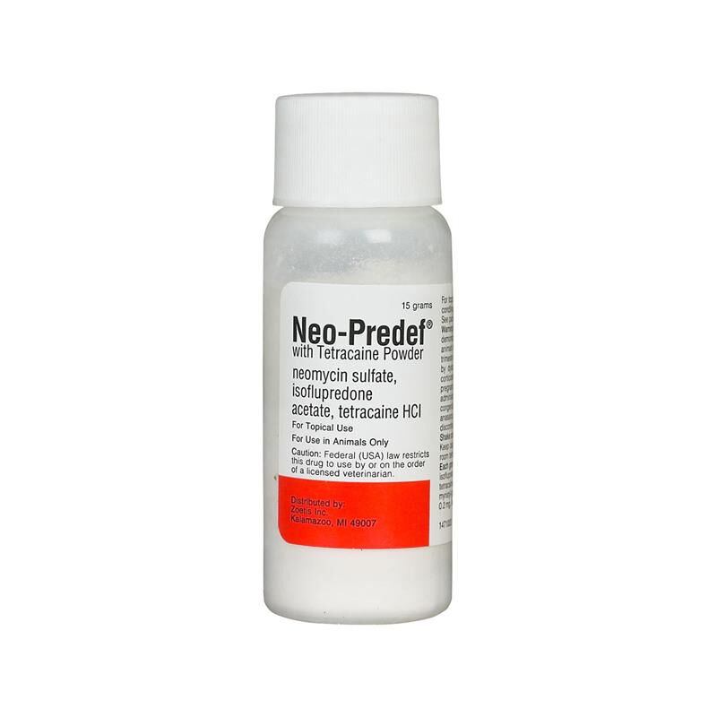 Neo-Predef with Tetracaine Powder for Dogs, Cats & Horses