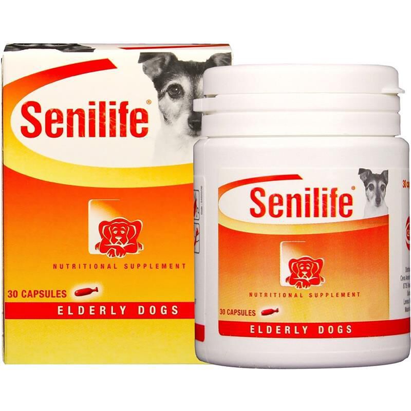 senior dogs supplements