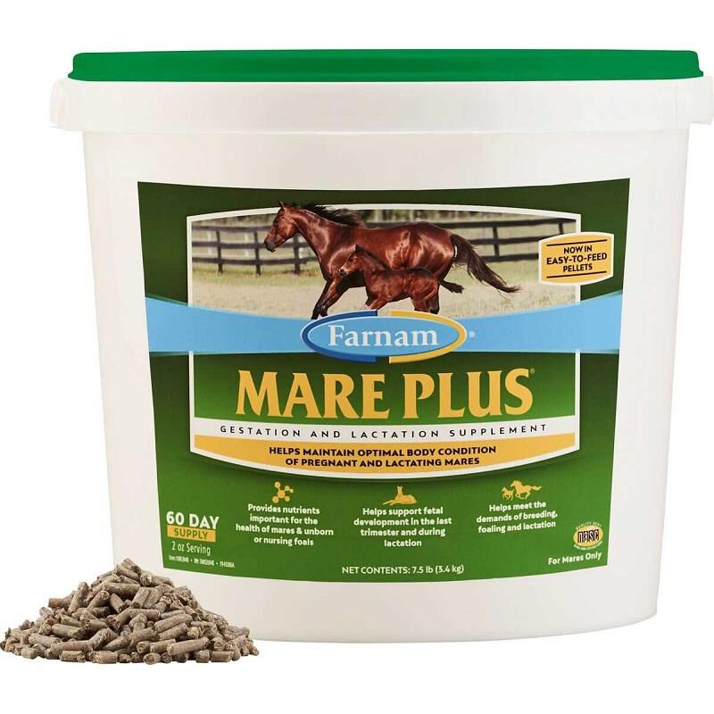 Mare And Foal Supplements, Horse Supplements | Pet Meds| Allivet ...