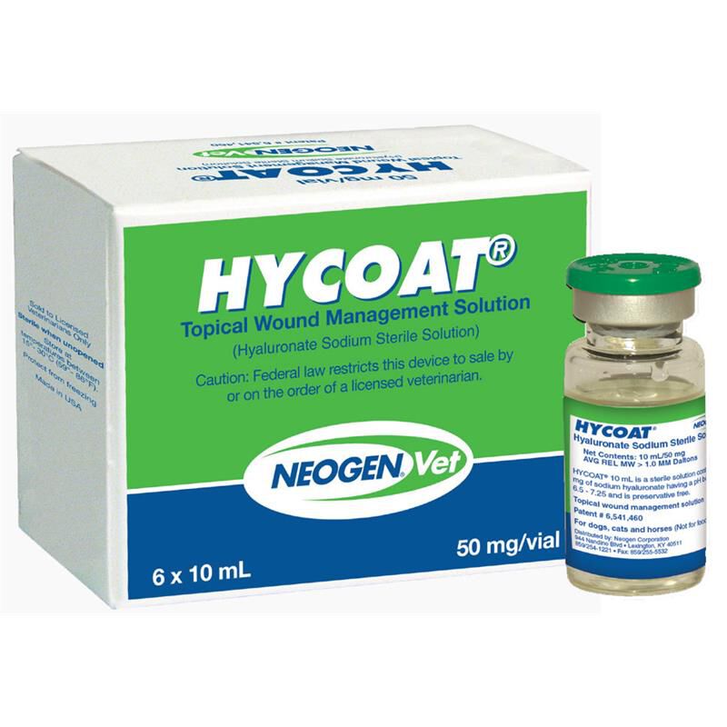 Neogen HyCoat 50 Mg 10 Ml vial | Buy HyCoat for horses now