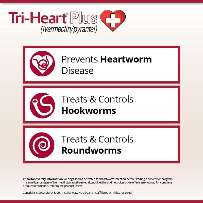 Tri-Heart Plus Chewable Tablets For Dogs | Allivet