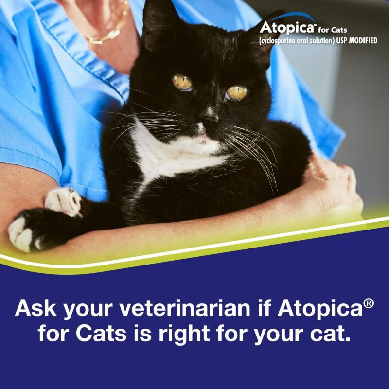 Atopica for Cats - Control Chronic Atopic Dermatitis