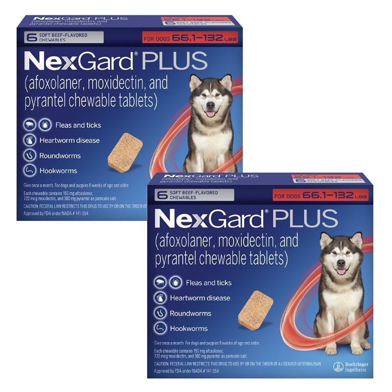 nexgard plus logo