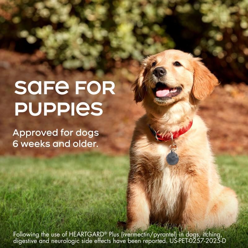 heartgard promo code