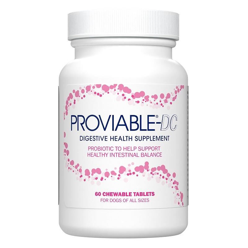 Proviable-DC Digestive for Dogs | Supplement | 60 Tablets | Allivet