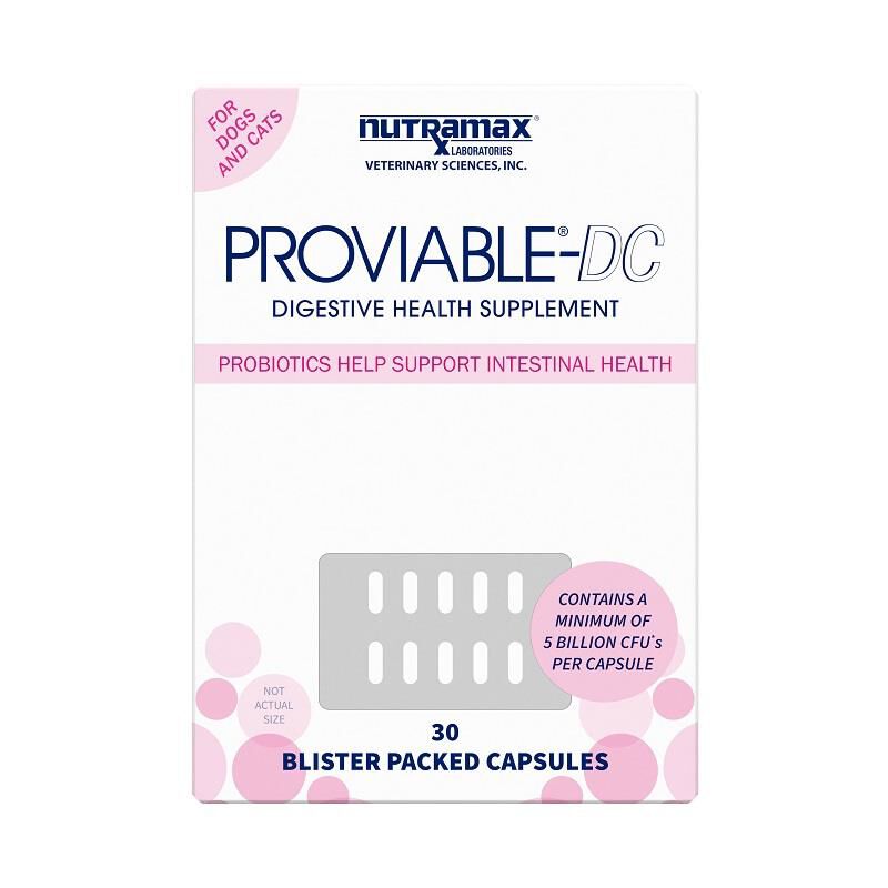 Proviable-DC Multi-Strain Probiotic Capsules for Dogs & Cats