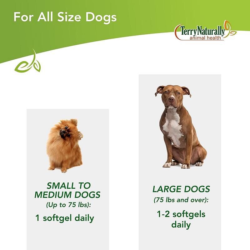 Terry Naturally Animal Health Curacel Curcumin for Dogs, 60 Softgels