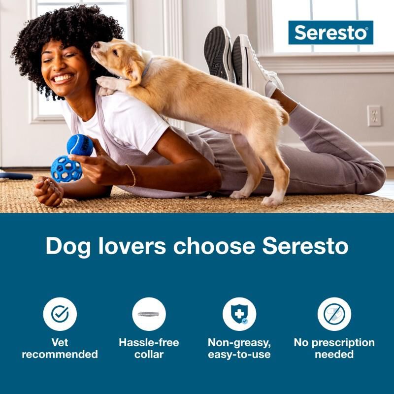 Seresto Flea & Tick Collar - Repels Fleas & Ticks on Dogs