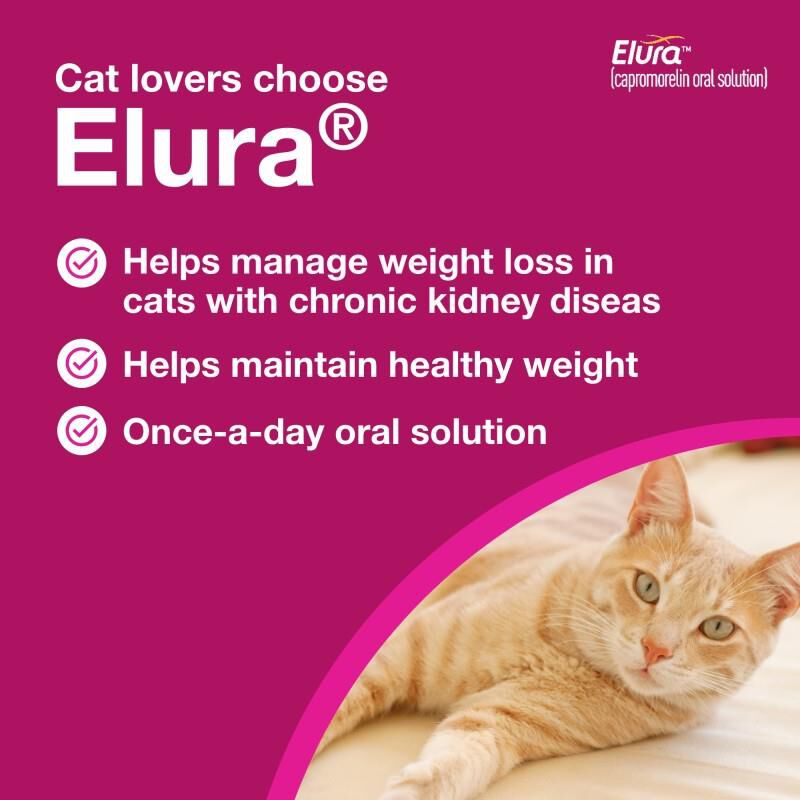 Elura (Capromorelin Oral Solution) 20 mg/mL for Cats, 15 ml | Allivet