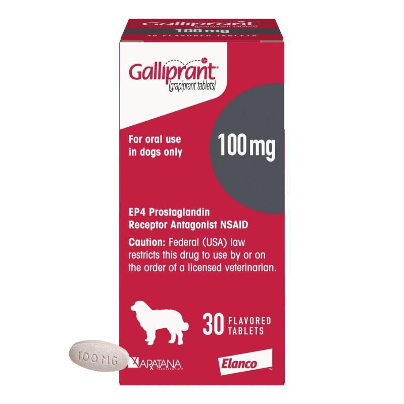 Galliprant Flavored Tablets | 20 mg, 60 mg, 100 mg | Allivet